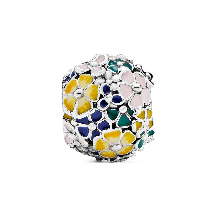 Pandora Charm Moments 797907ENMX bei Christ.de bestellen